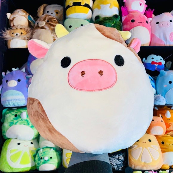 Squishmallows | Toys | Squishmallows Ronnie Rose Flip Mallow 2 | Poshmark